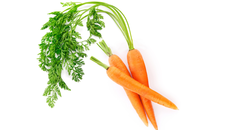 Packed with nutrition! Introducing recipes that take advantage of the ...