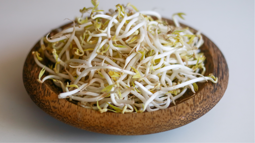Bean sprouts: A versatile ingredient that brightens up your daily meals ...
