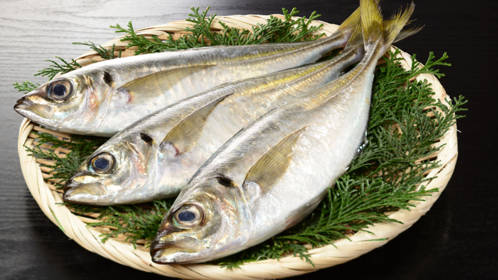 History and Culture of Horse Mackerel: The World of Horse Mackerel ...