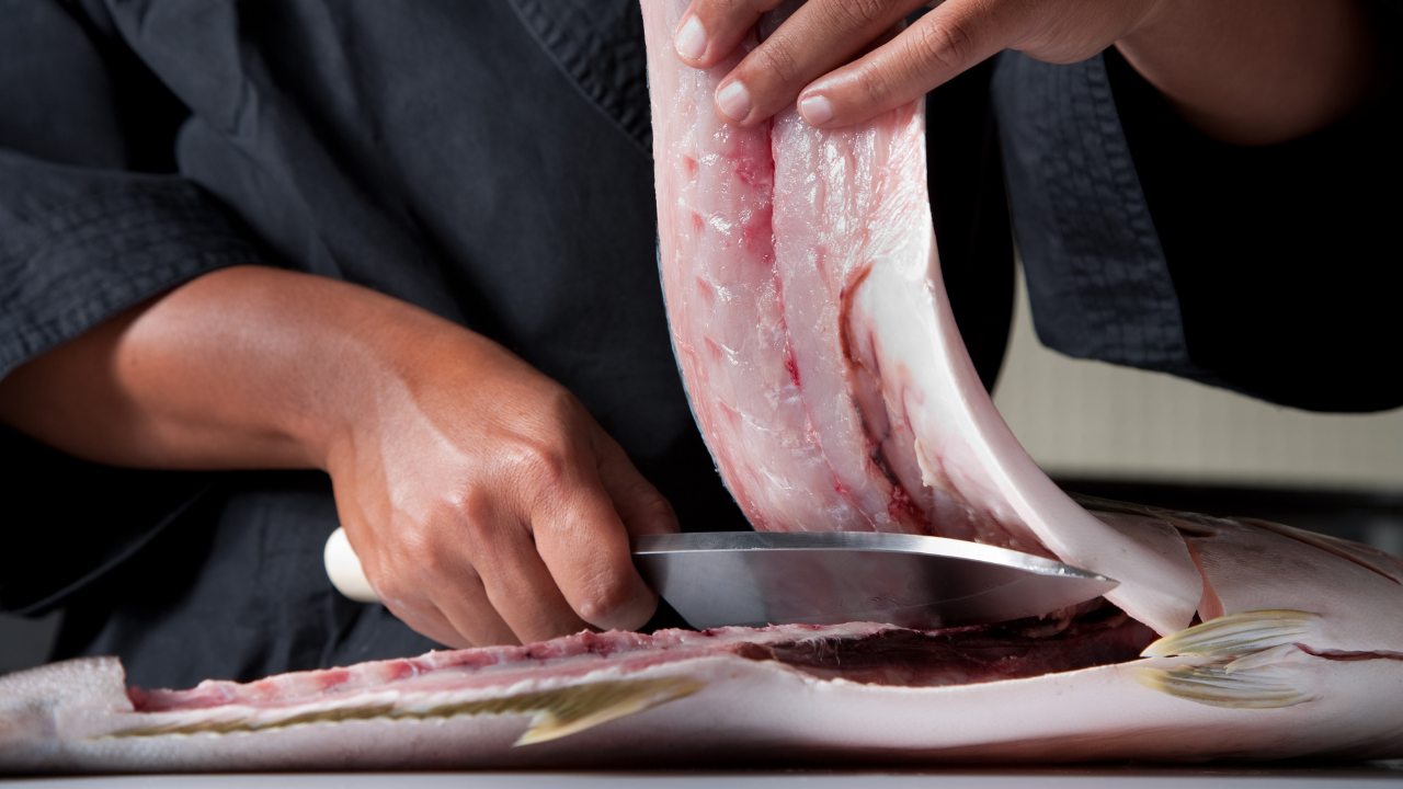 Fish Cooking Basics: Mastering How to Fillet and Cut Sashimi! - EPIRECIPE