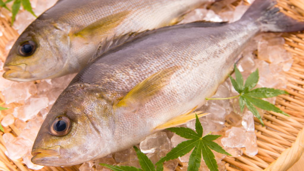 Introducing the characteristics, seasons, and recommended delicious ...