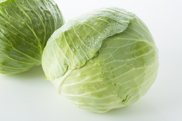Enjoy spring cabbage! Introducing delicious recipes - EPIRECIPE
